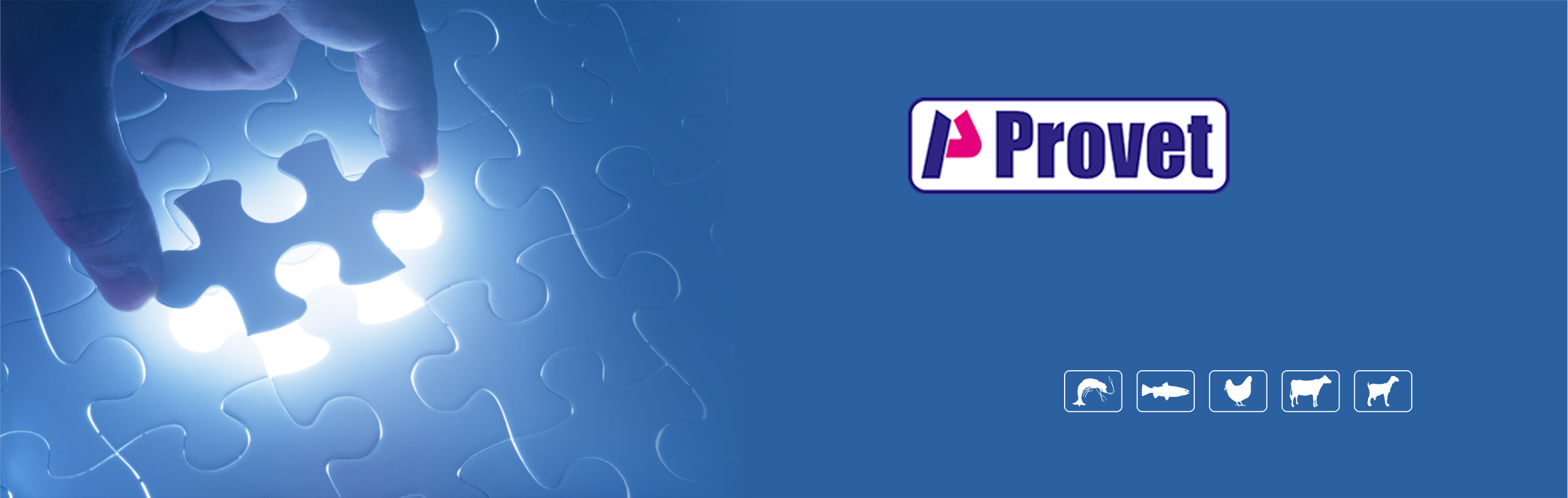 Provet Pharma Pvt.Ltd.> Provet is a private limited company ...